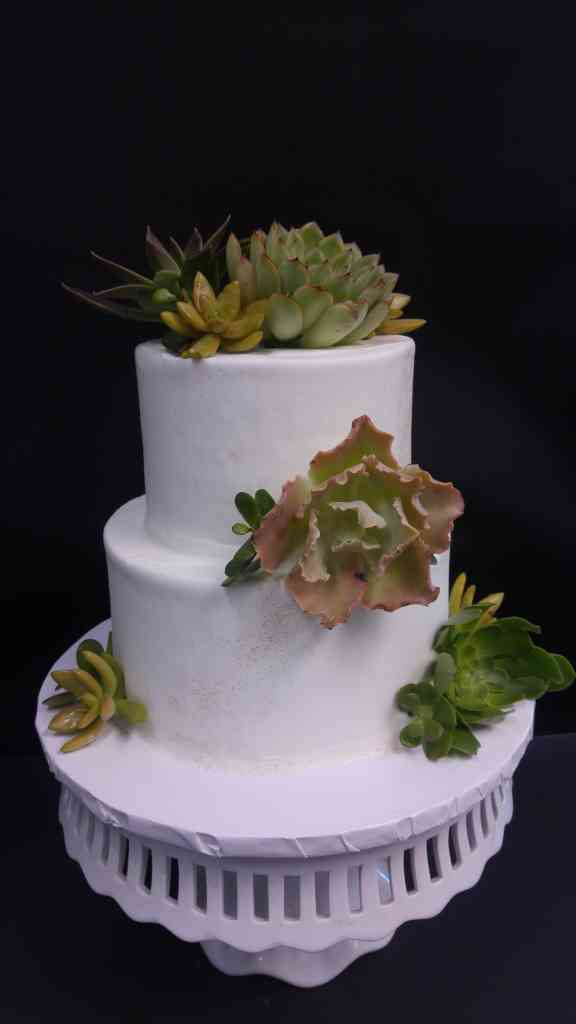 Succulent wedding cake - le' Bakery Sensual